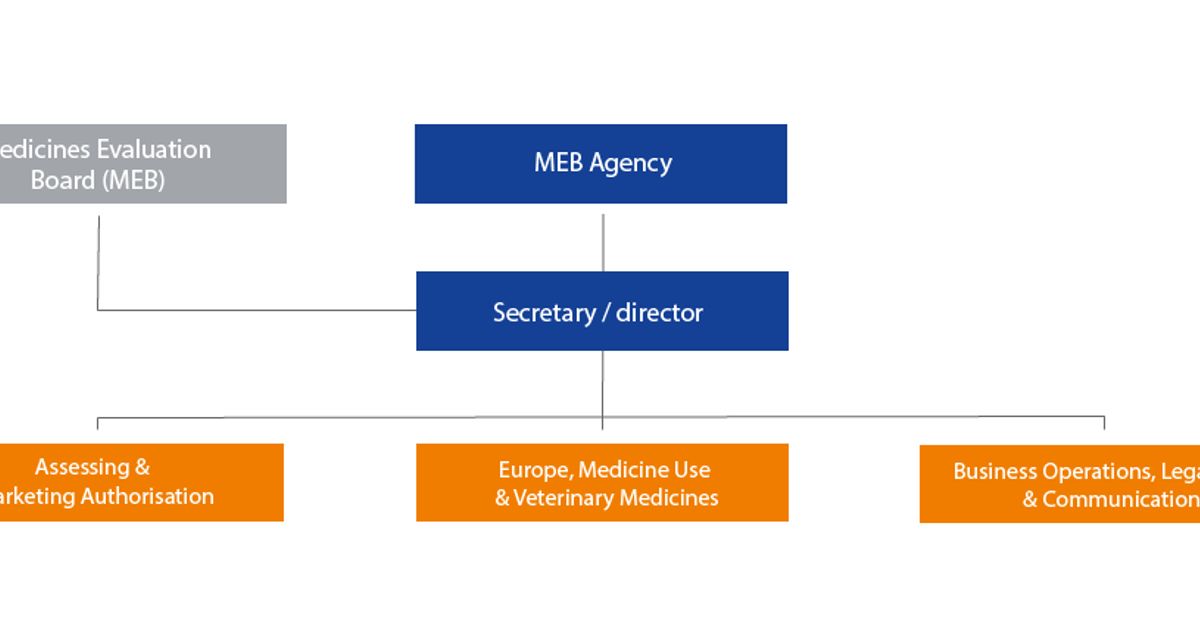 The Agency | Medicines Evaluation Board